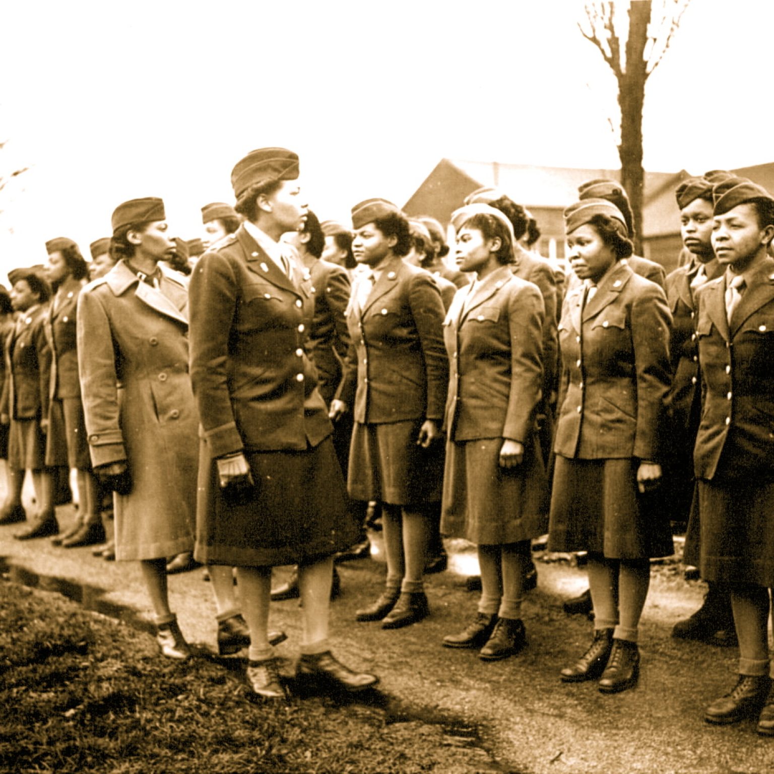 Black History 365 | PureHistory