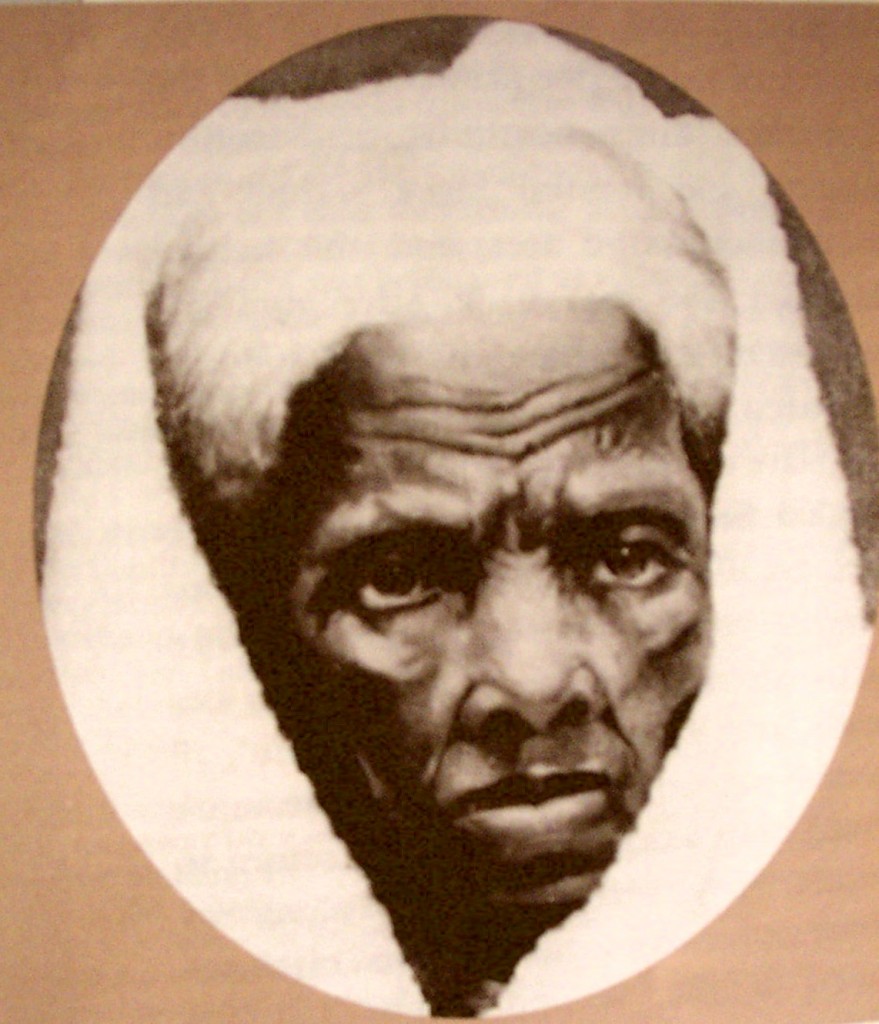 The Underground Railroad | PureHistory