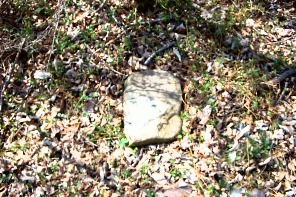 The Staats Cemetery, Neshanic, NJ | PureHistory