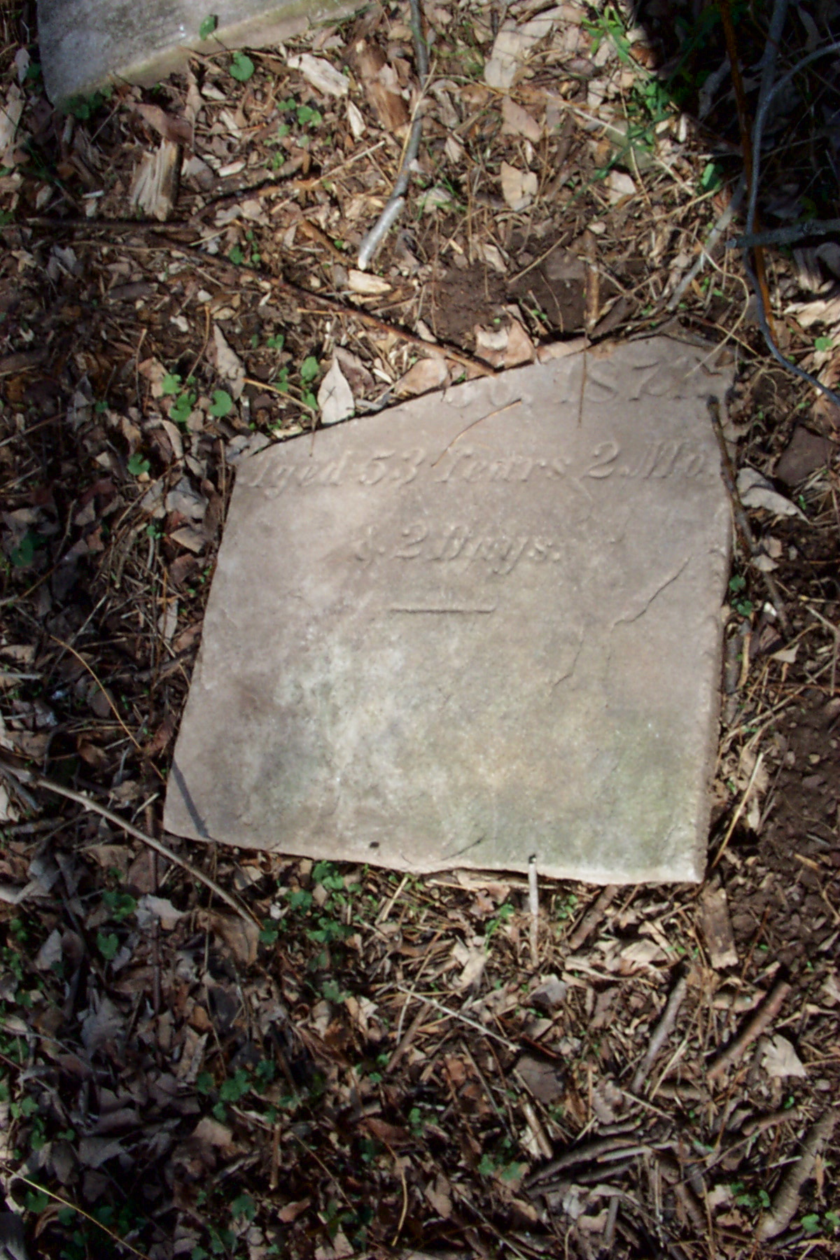 The Staats Cemetery, Neshanic, NJ | PureHistory